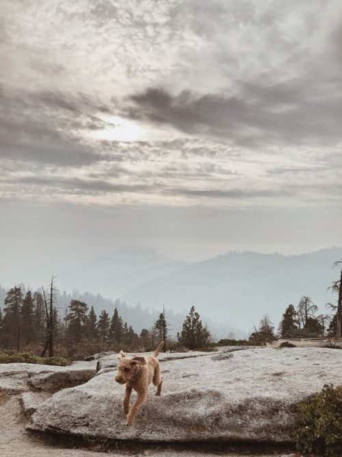 5 Fun Adventures To Get Outside Before It’s Too Cold | Those Heavenly Days